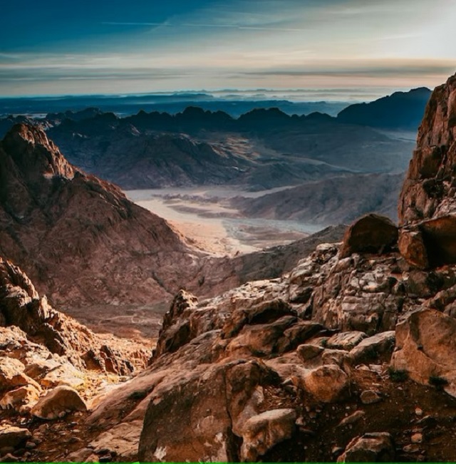 Sinai Peninsula Sherman Tanks