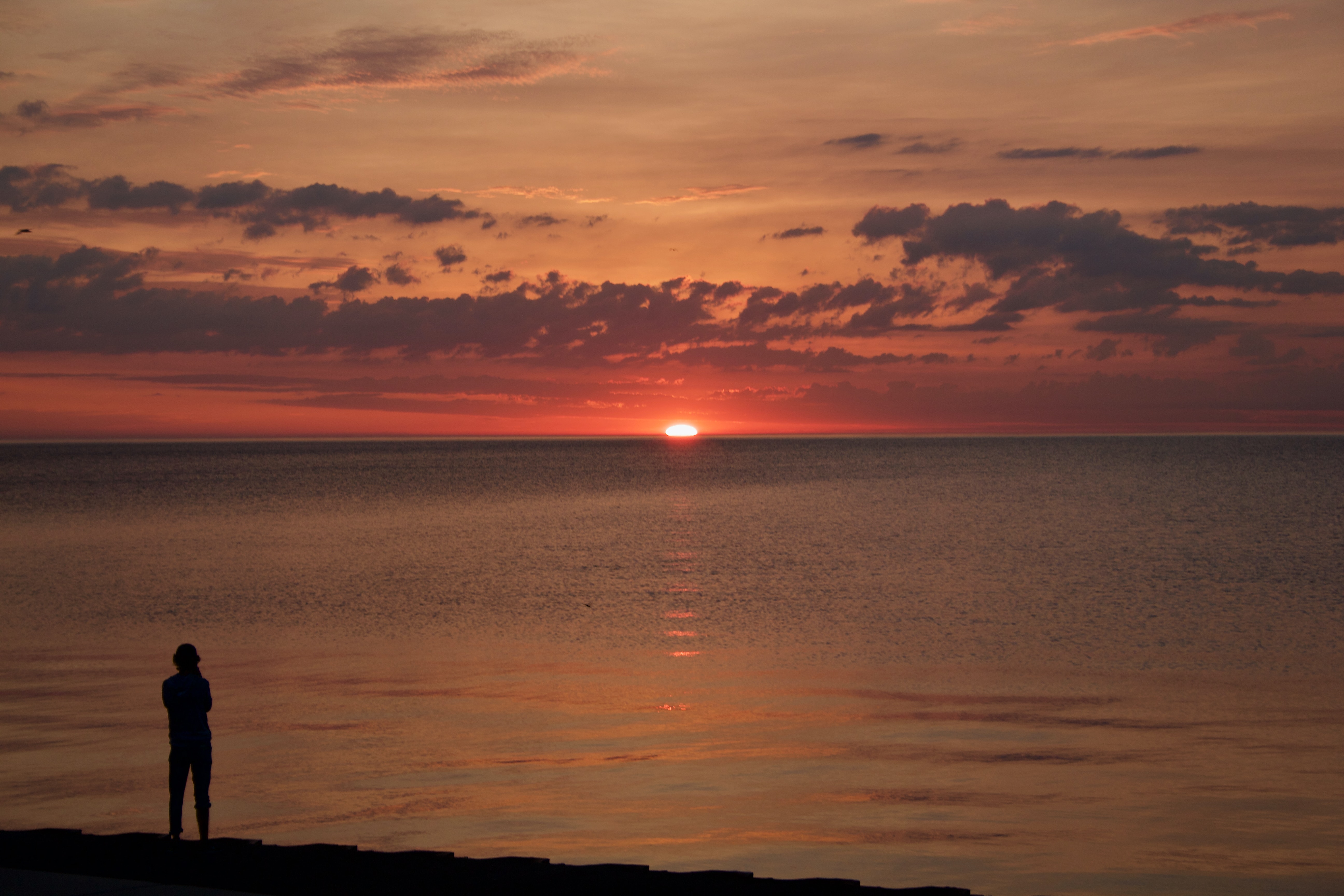 Ansar al-Sharia in Tunisia's Shift to Jihad | International Centre for ...