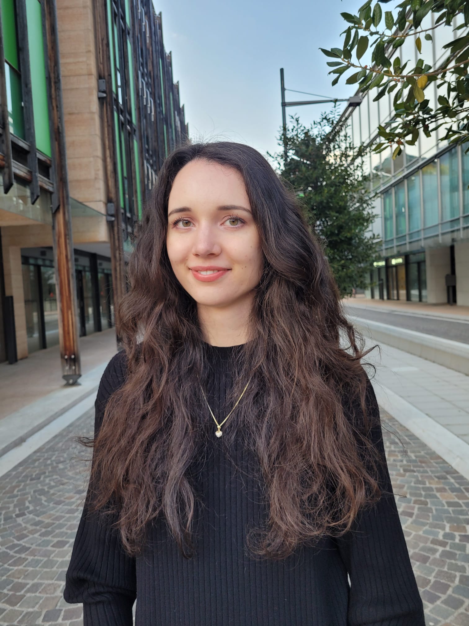 Clarisa Nelu | International Centre for Counter-Terrorism - ICCT